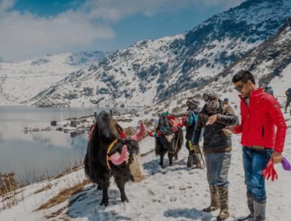 Sikkim Darjeeling Tour Packages – Holidays Crowd